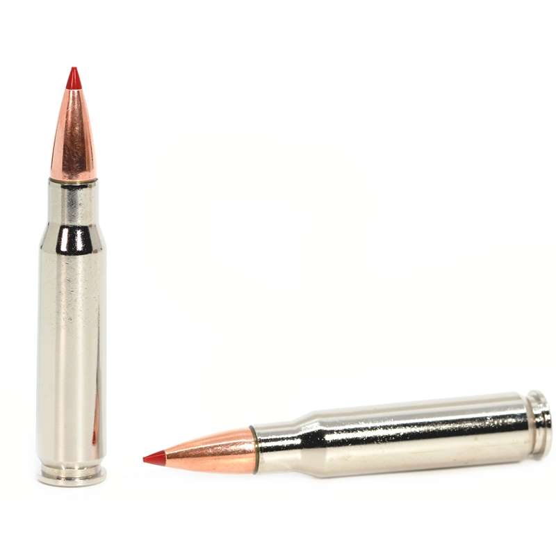 Hornady Outfitter 308 Winchester Ammo 165 Grain CX Lead Free - 809864